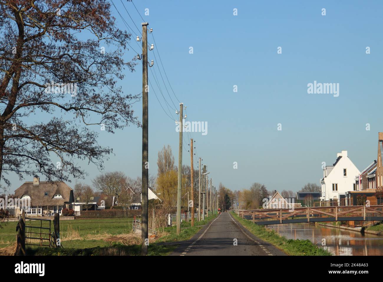 Wooden poles with electricity wires in the Zuidplaspolder at the Vierde ...