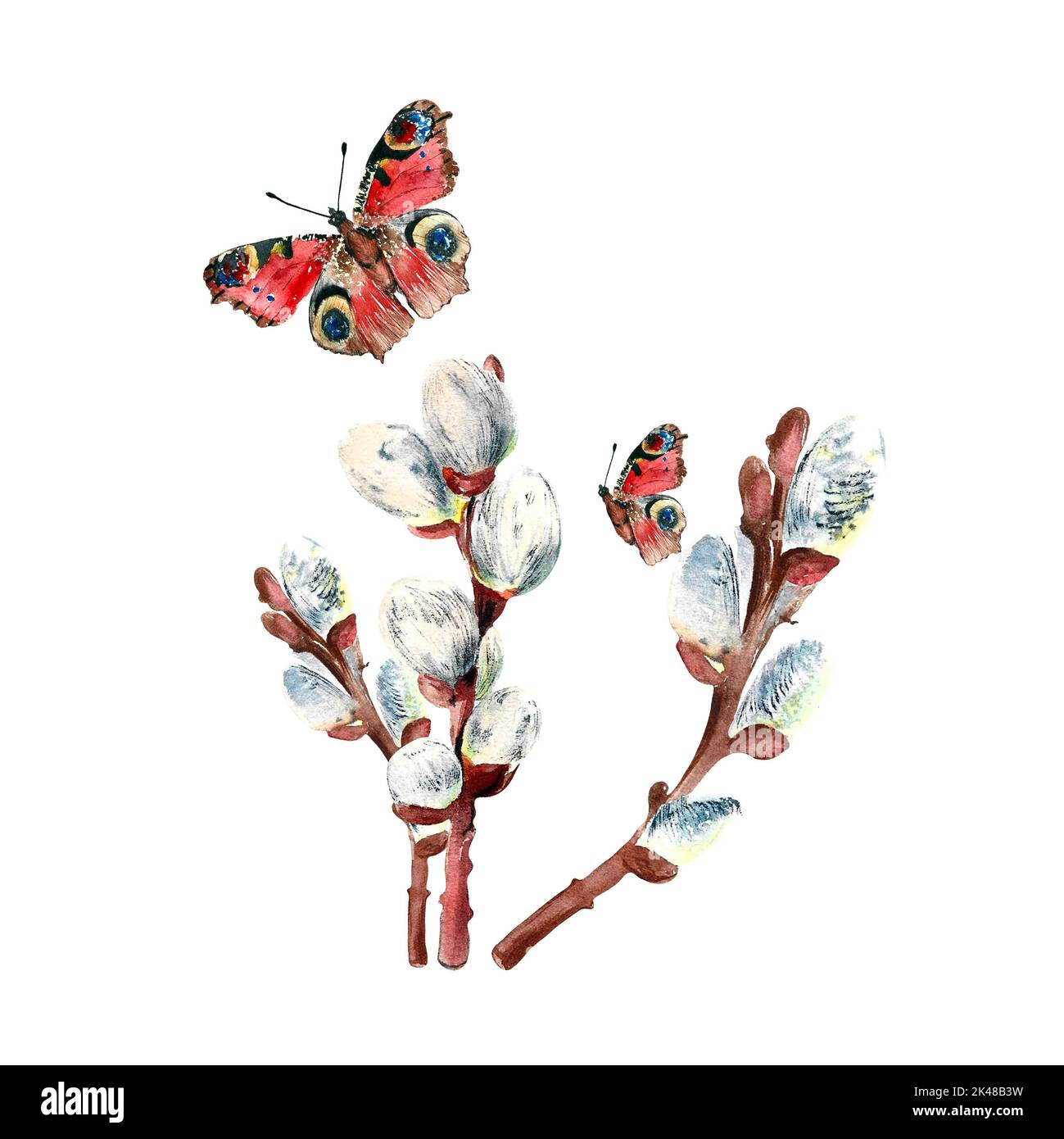 willow branch, butterfly fire watercolor. on isolated white background ...