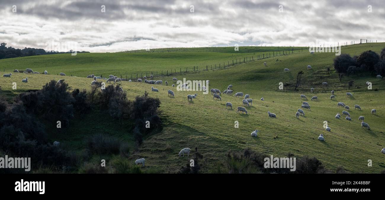 Slope point new zealand hi-res stock photography and images - Alamy
