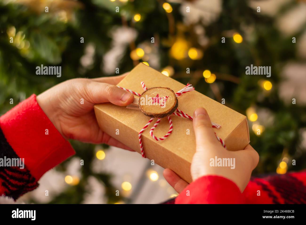 Christmas eco-friendly gift wrapping concept, zero waste ...