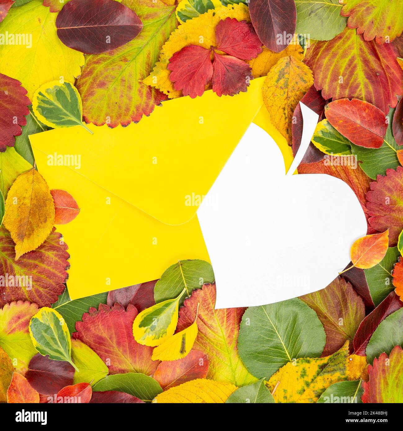 Creative layout made of dried leaves in autumn and paper card leaf ...