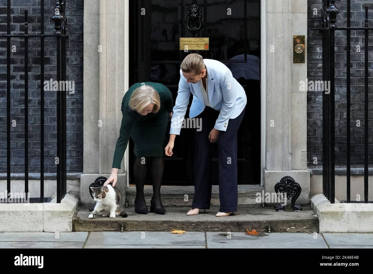 Larry the cat in downing street hi-res stock photography and images - Alamy