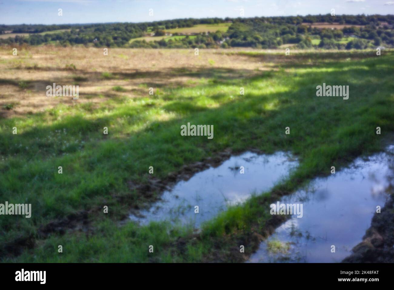 Age-defying, digital age, premium quality, eye-catching, stand-out ...