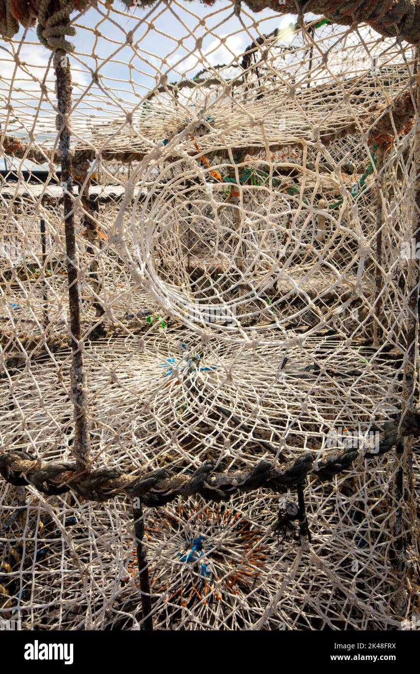 Age-defying, digital age, premium quality, eye-catching, stand-out ...