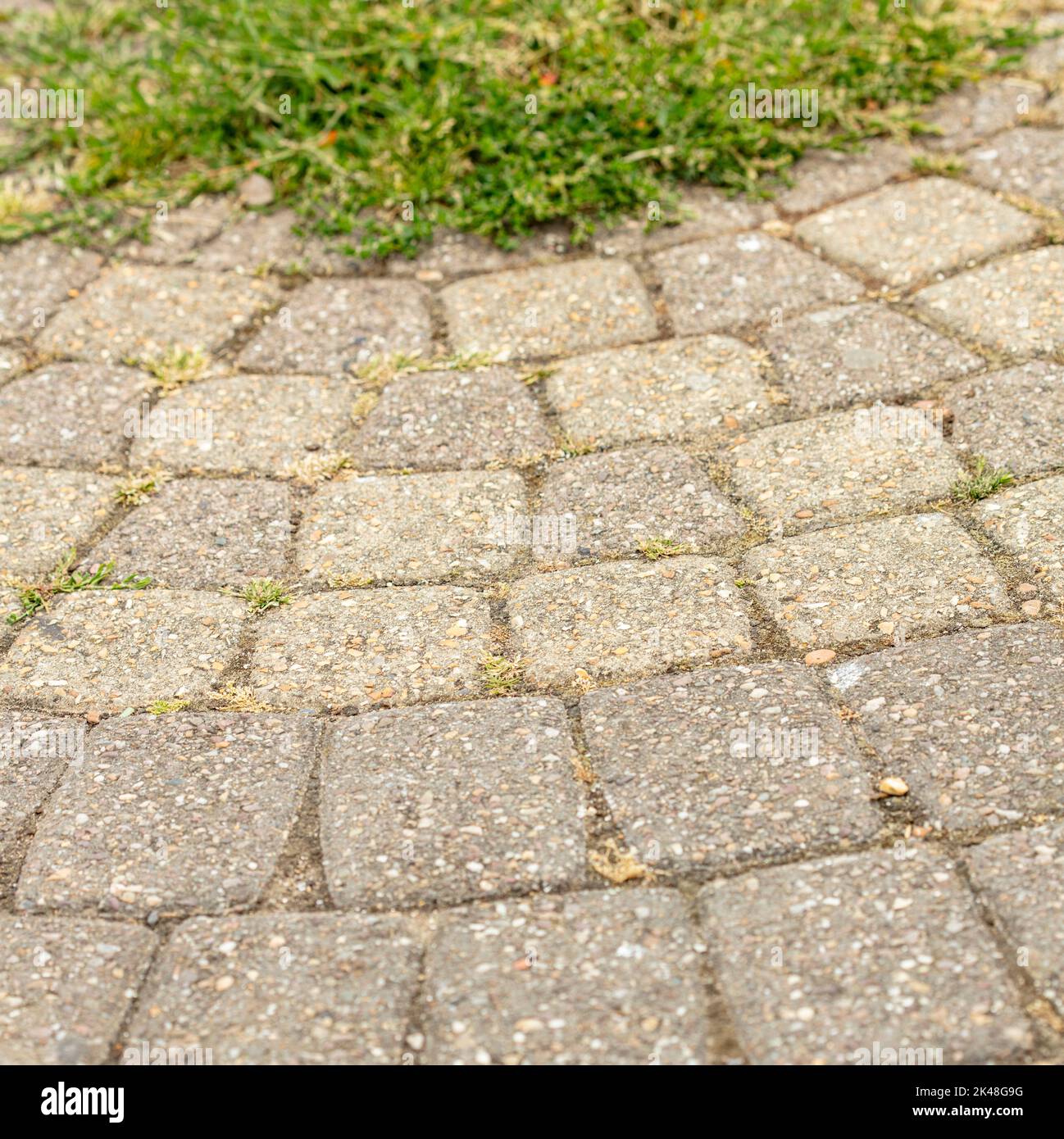 Close up concrete paving slab patterns with small piece of grass as ...