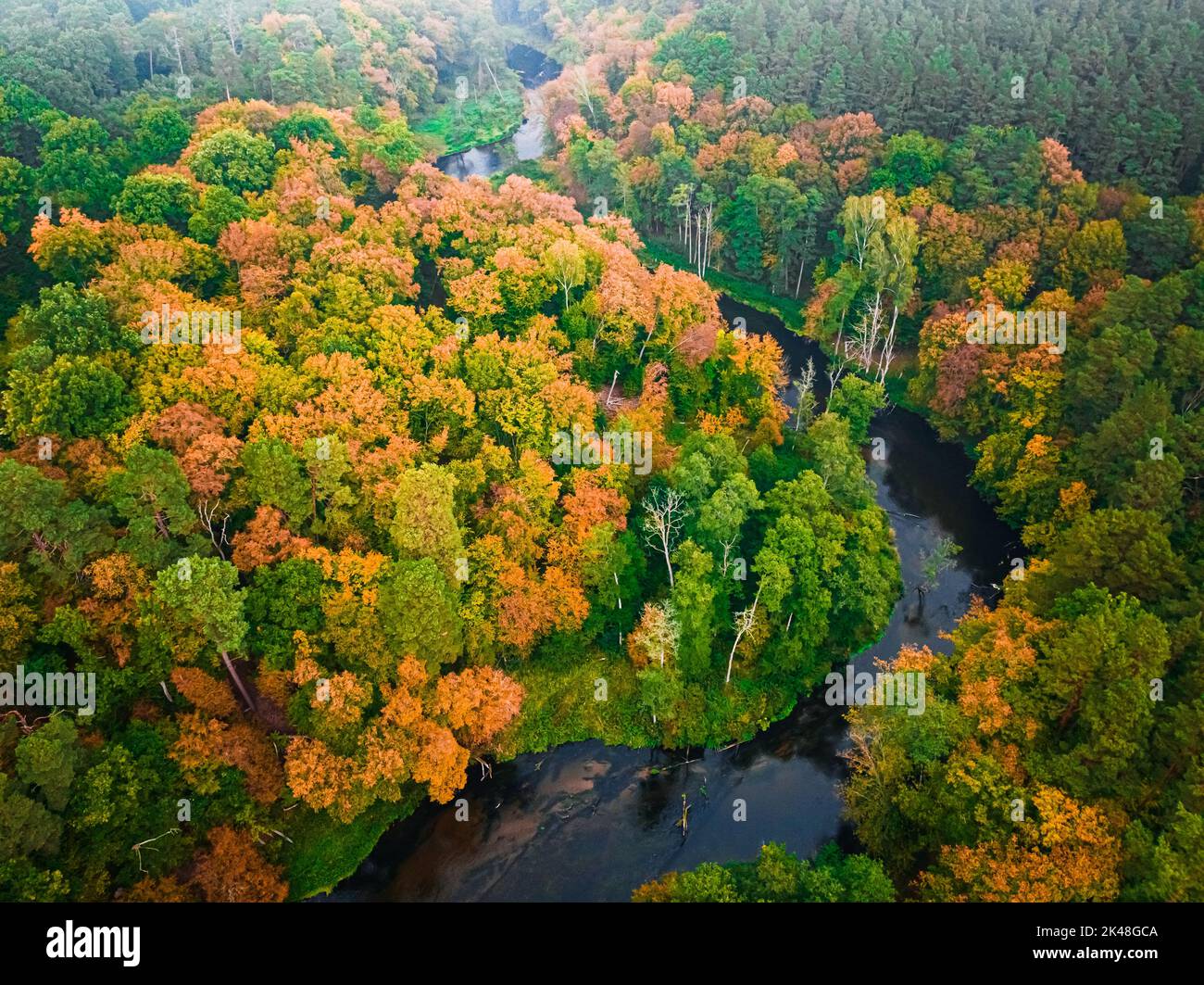 Amazing river and forest in the fall. Aerial view of wildlife. Nature ...