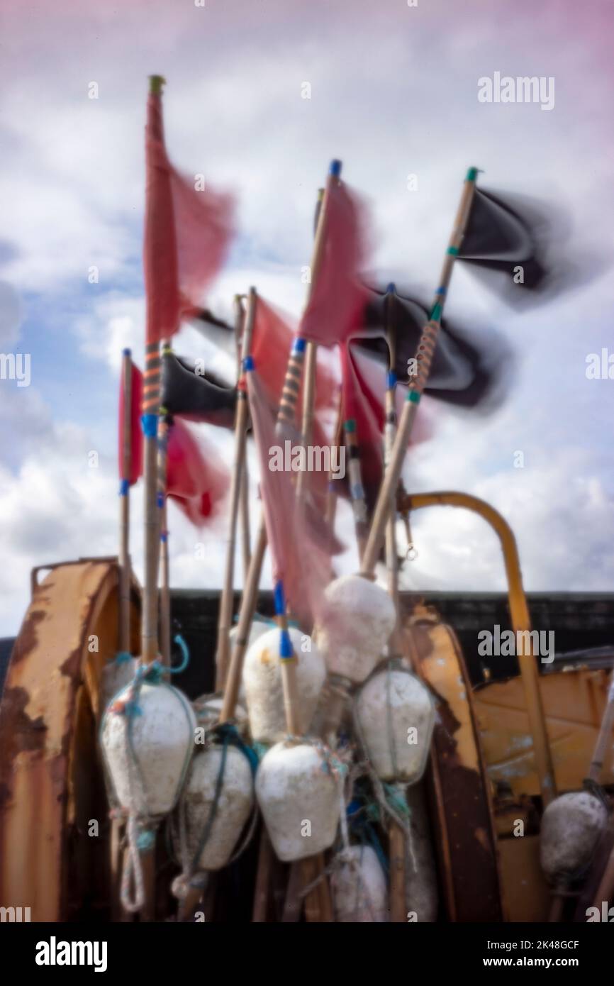 Age-defying, digital, premium, eye-catching, stand-out, pinhole image ...