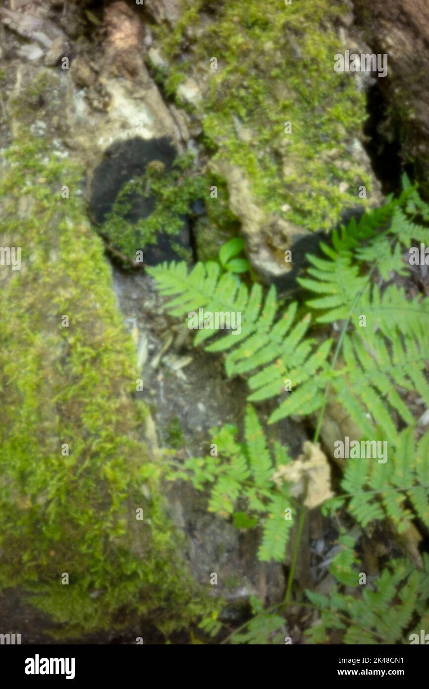 Age-defying, digital, premium, eye-catching, stand-out, high resolution ...