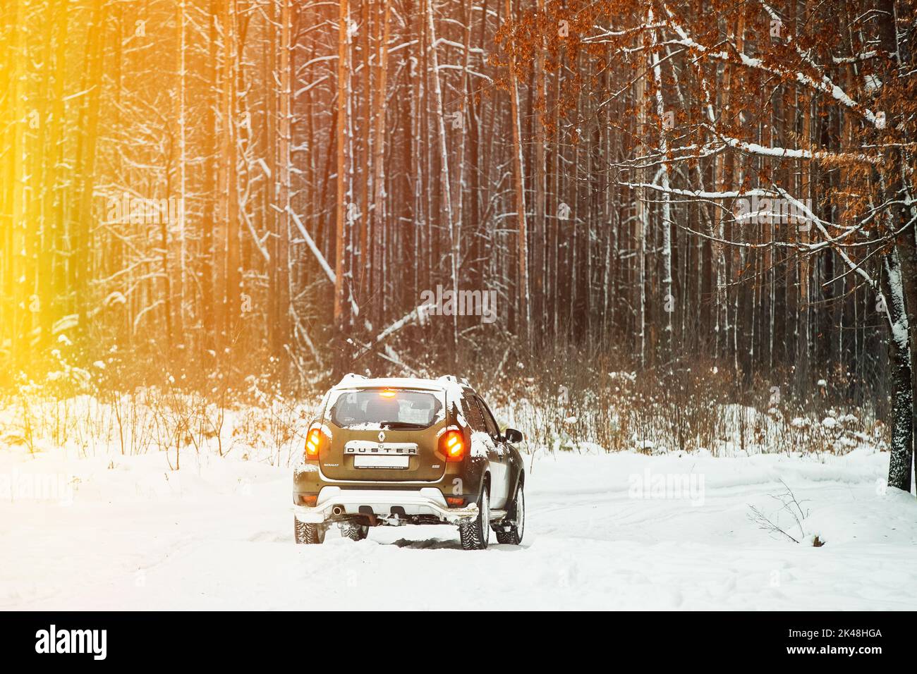 Renault Duster Suv In Winter Coniferous Forest Back View. Compact ...