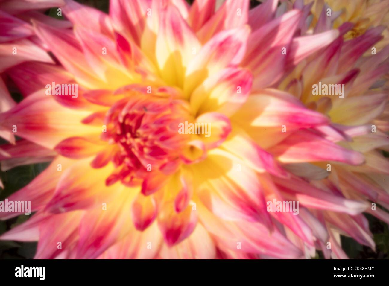 Age-defying, digital age, premium quality, eye-catching, stand-out ...