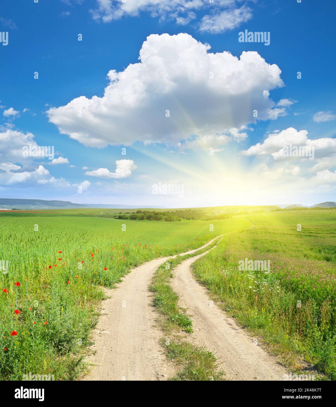 Road lane and deep blue sky. Green meadow and spring flowers Stock ...