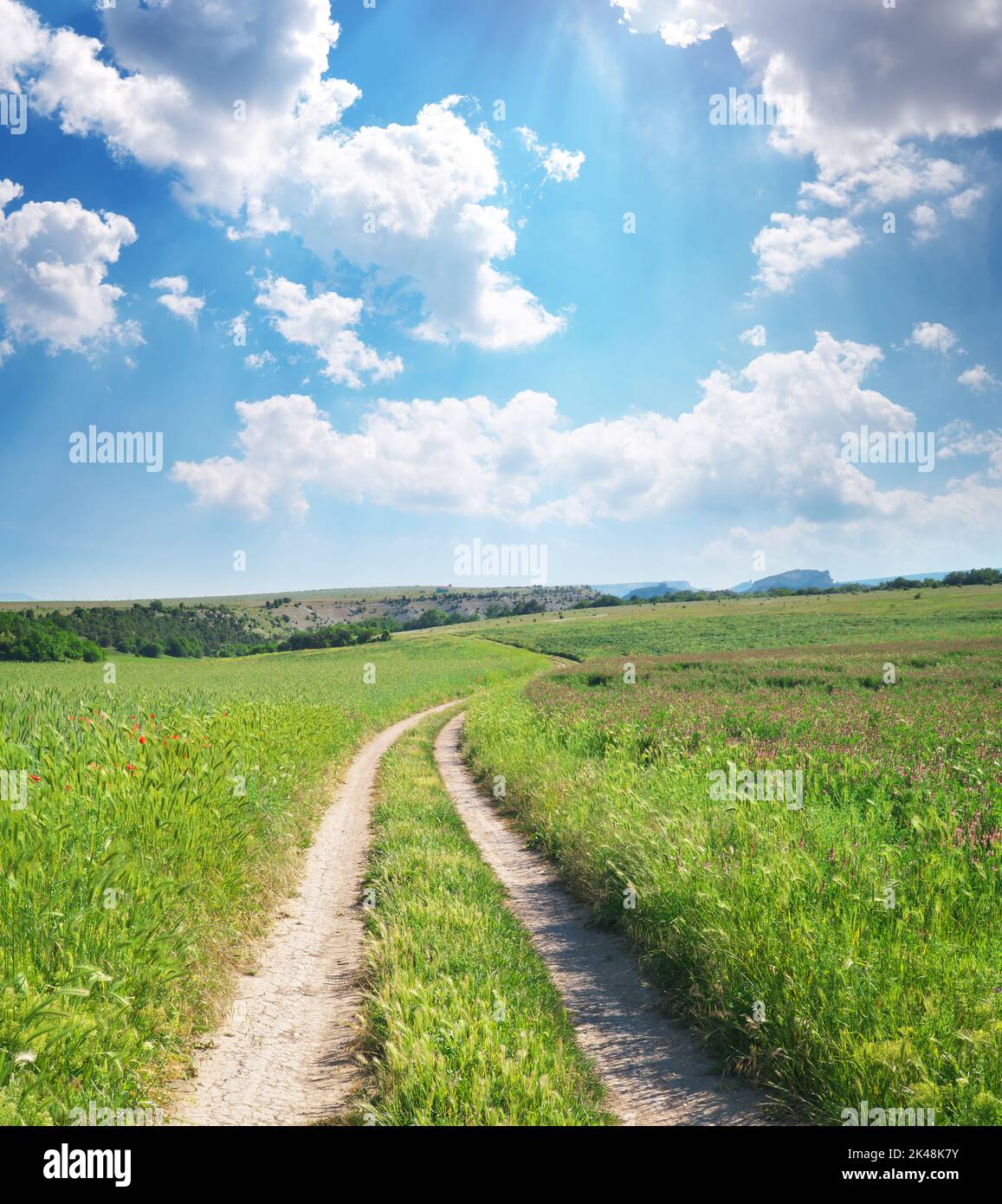 Road lane and deep blue sky. Green meadow and spring flowers Stock ...
