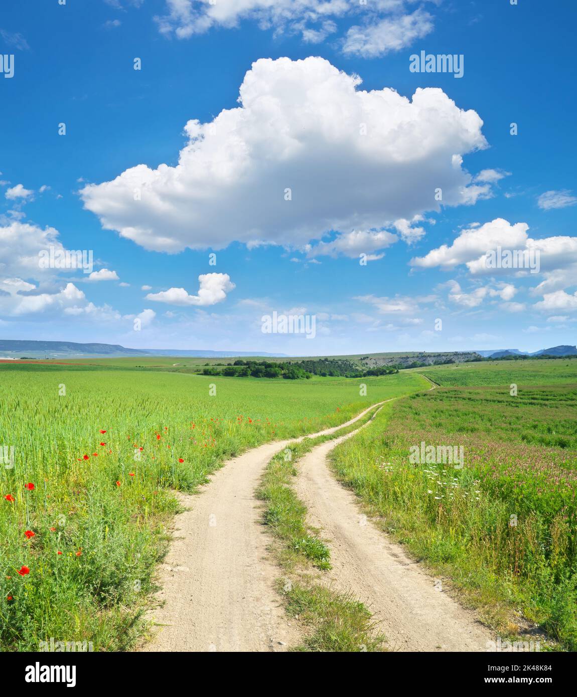 Road lane and deep blue sky. Green meadow and spring flowers Stock ...