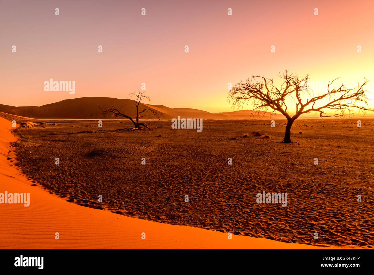 Blue hour in scenic Sossusvlei, Namib desert, Namibia Stock Photo - Alamy