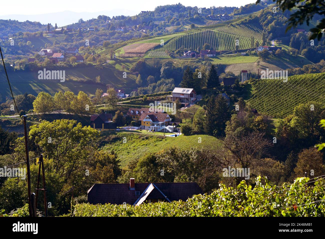 Austria, landscape with vineyards and guesthouse named Maxltoni in the ...