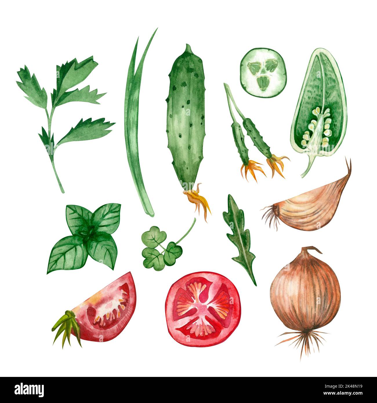 A set of colorful bright vegetables painted with watercolor tomatoes ...