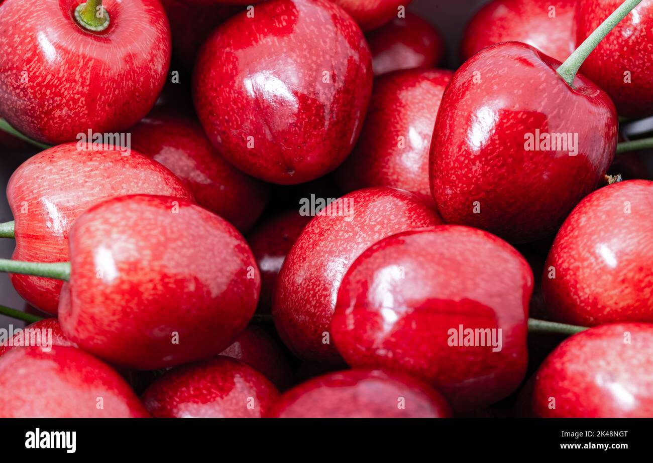 Cherries in close-up. Red fruit with green petioles. The structure of ...