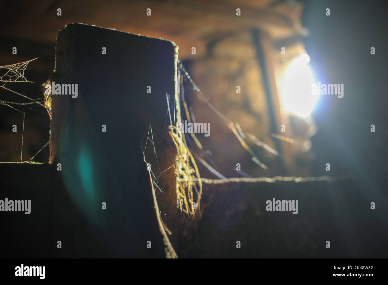 spider web inside a house illuminated by sunset light Stock Photo - Alamy