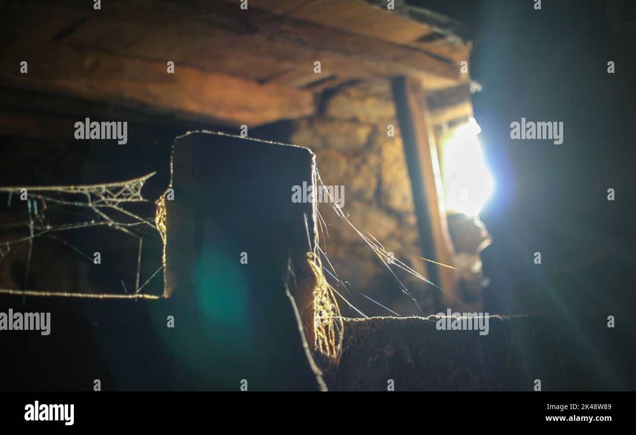 Sunlight through cobweb hi-res stock photography and images - Alamy