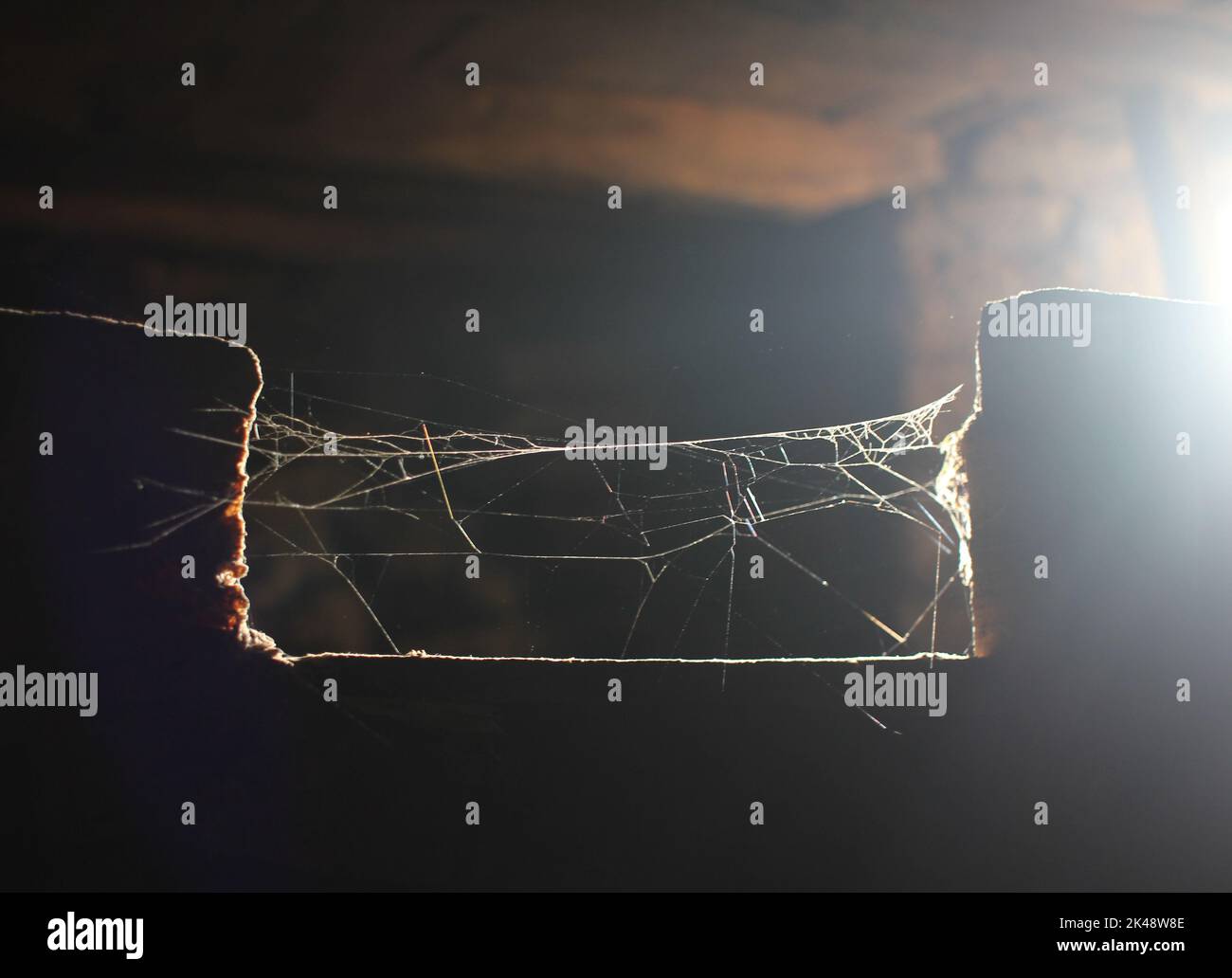 sunset light through the window illuminating spider web Stock Photo - Alamy