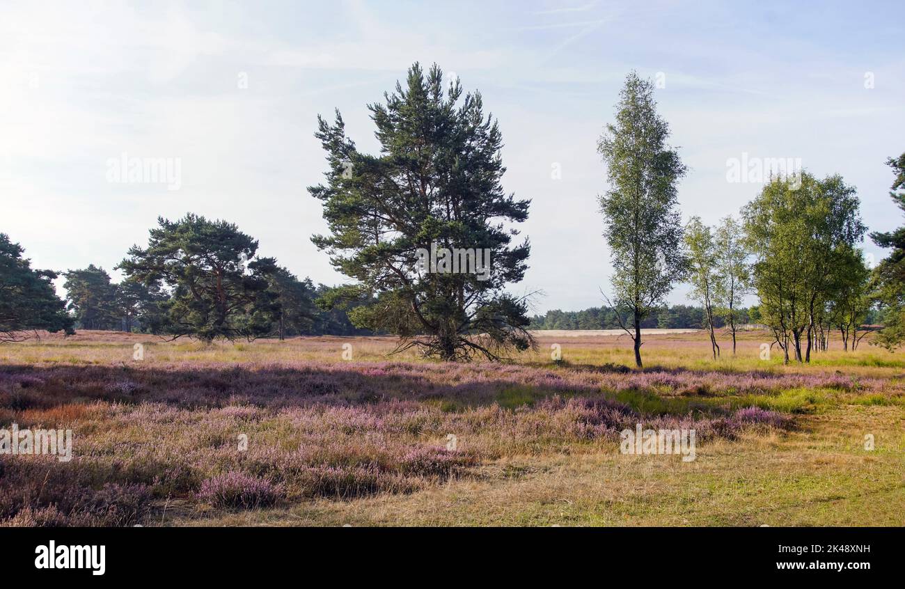 Wandern im sommer hi-res stock photography and images - Alamy