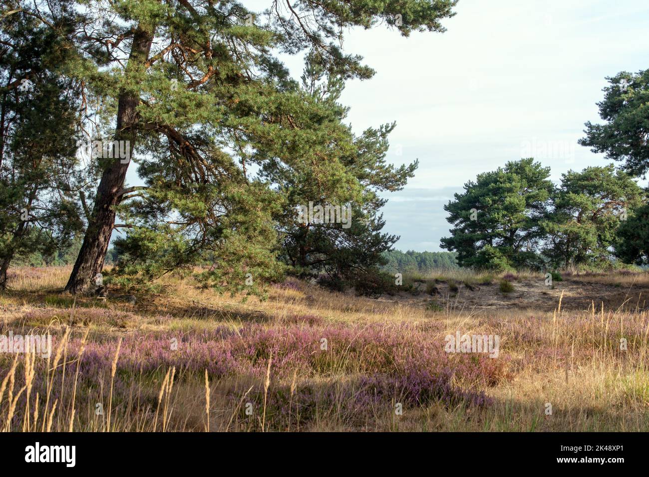 Wandern im sommer hi-res stock photography and images - Alamy