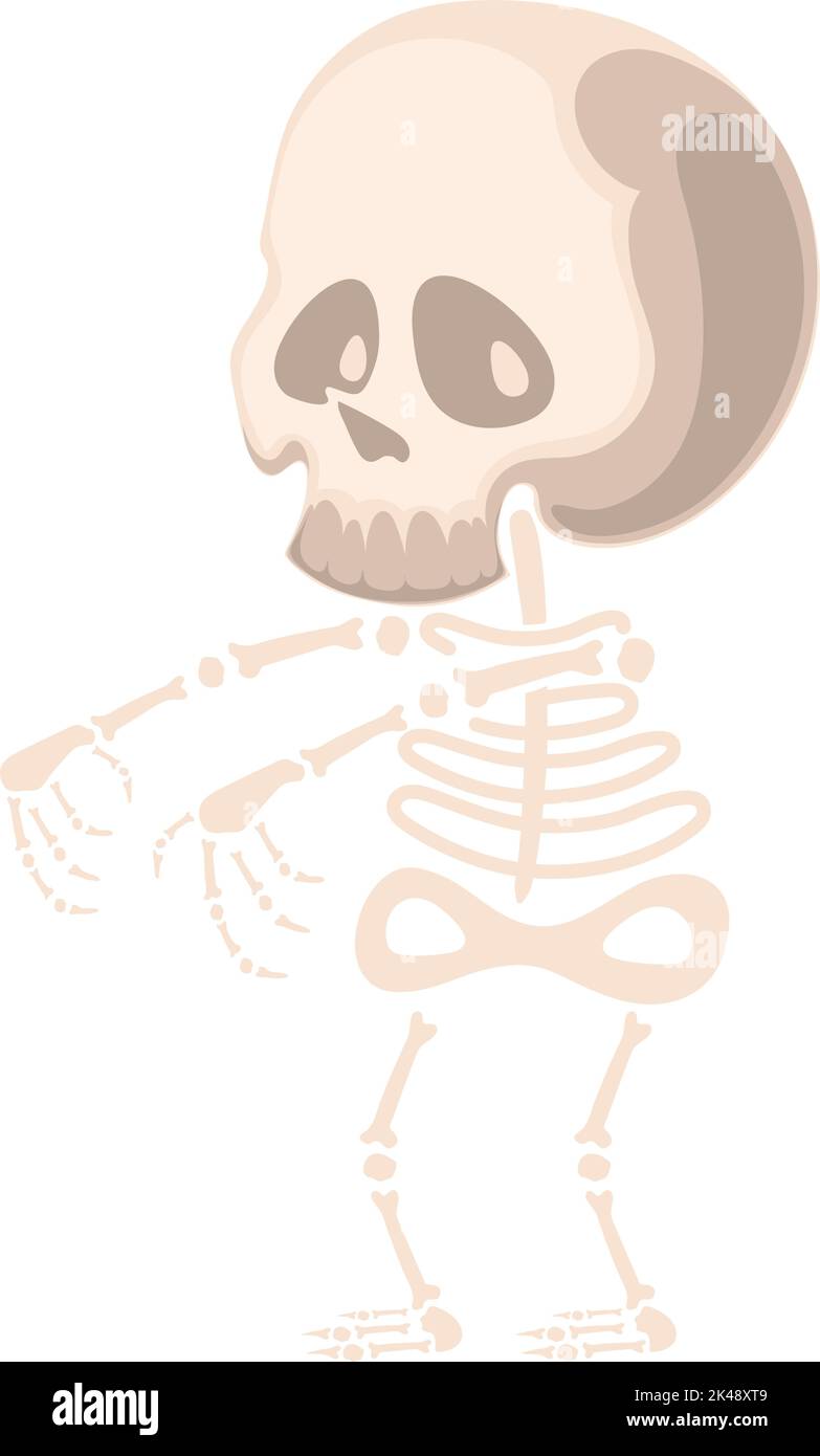 halloween skeleton character Stock Vector Image & Art - Alamy