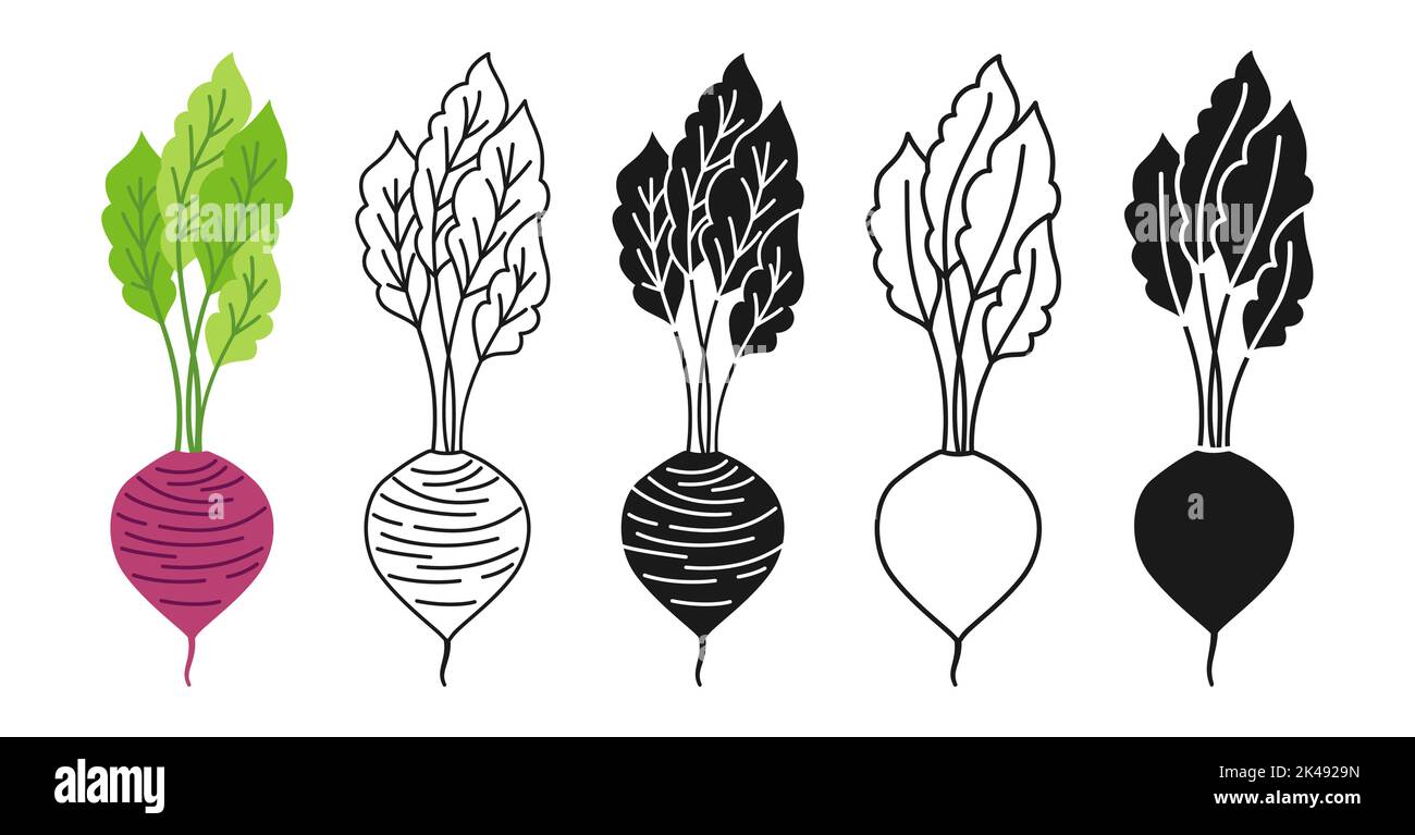 Beetroot with stem cartoon linear icon set, doodle style, engraving ...