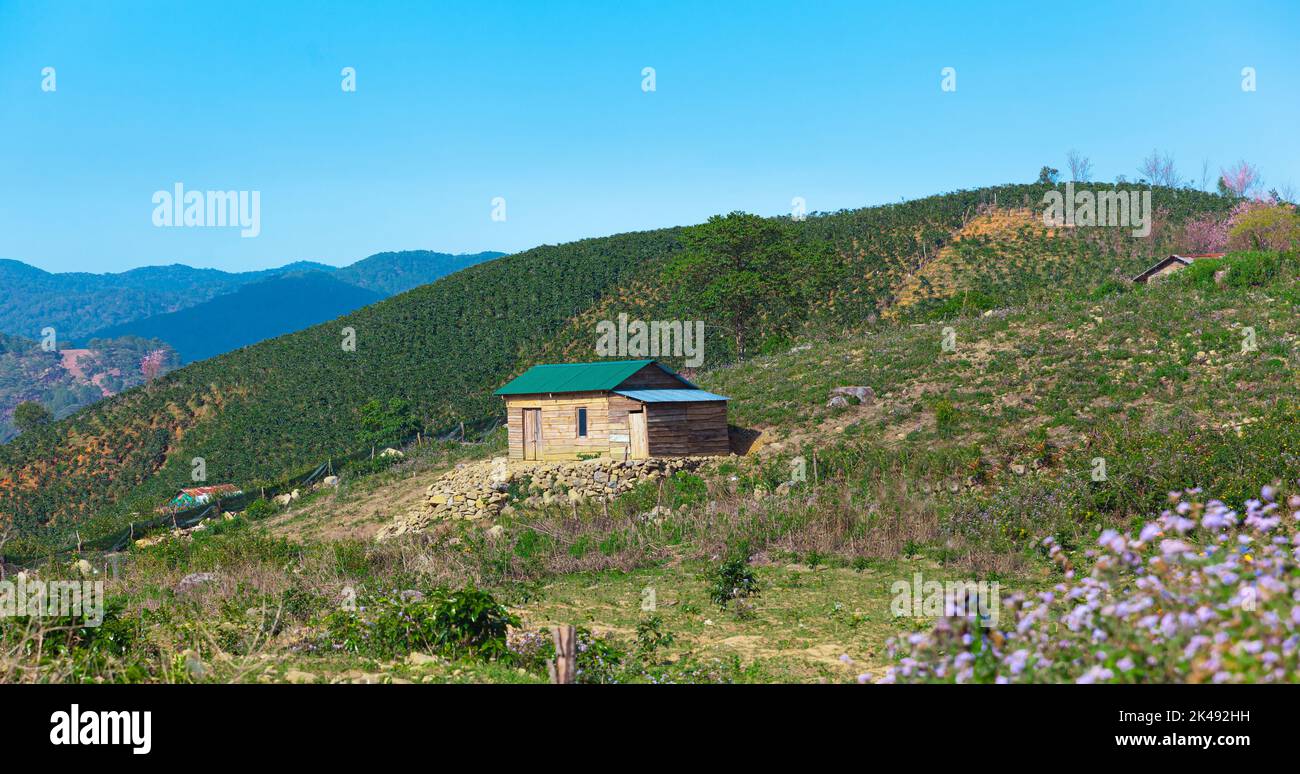 Small country house on green field summer valley landscape in blue sky ...