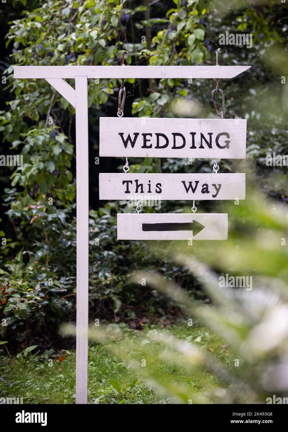 Wedding ceremony this way wooden sign in countryside Stock Photo - Alamy