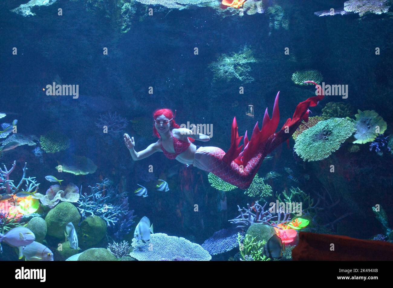 Bangkok, Thailand. 1st Oct, 2022. A diver performs during an underwater ...