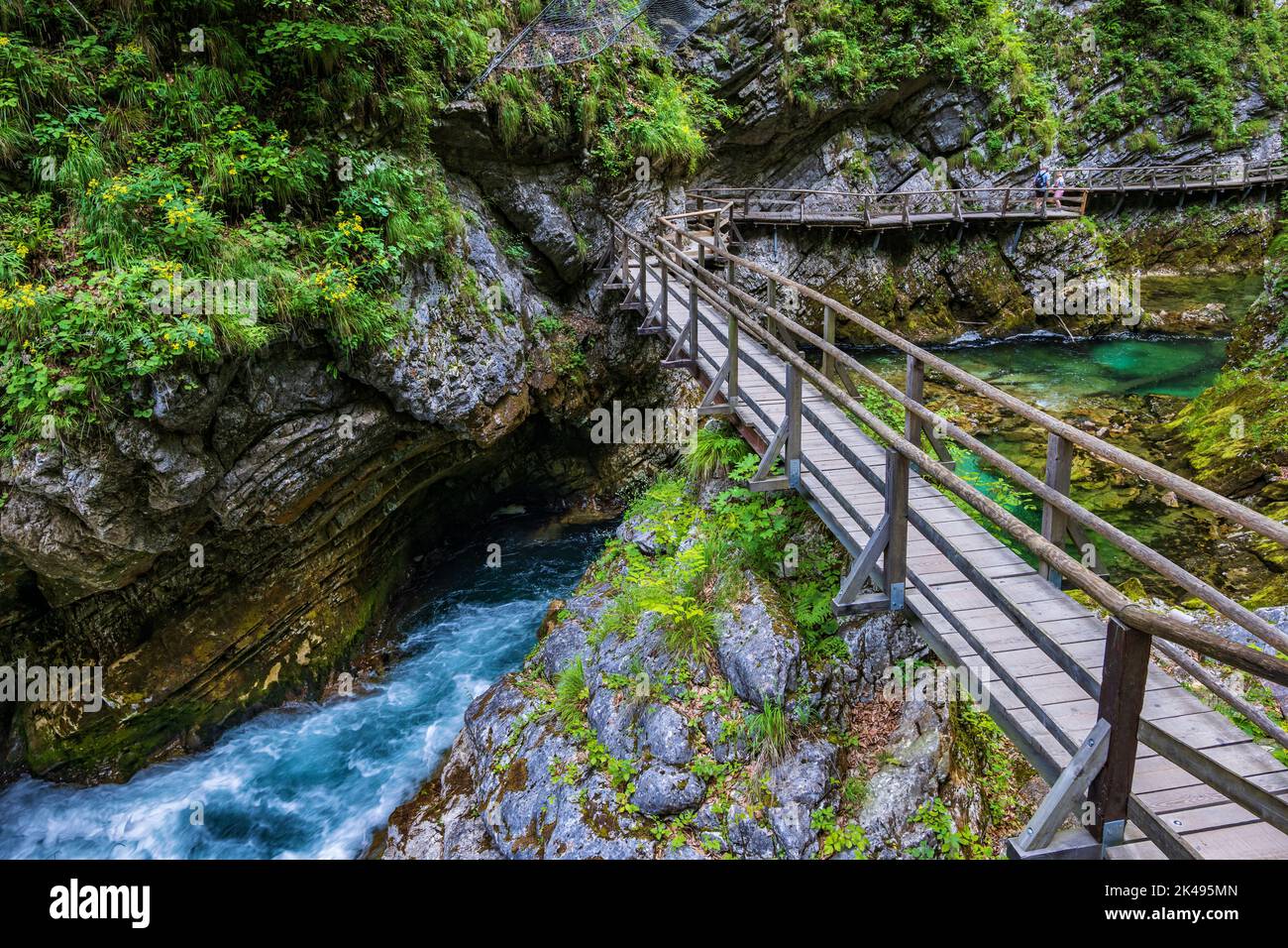 Vintgar Gorge in Slovenia, scenic landscape with mountain river and ...
