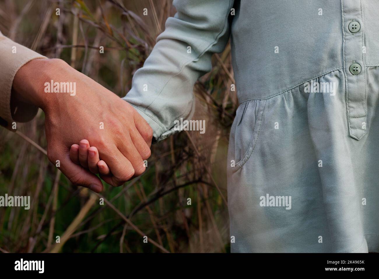 Close up Hand In Hand, Small Girl holding dad hand outside in nature ...