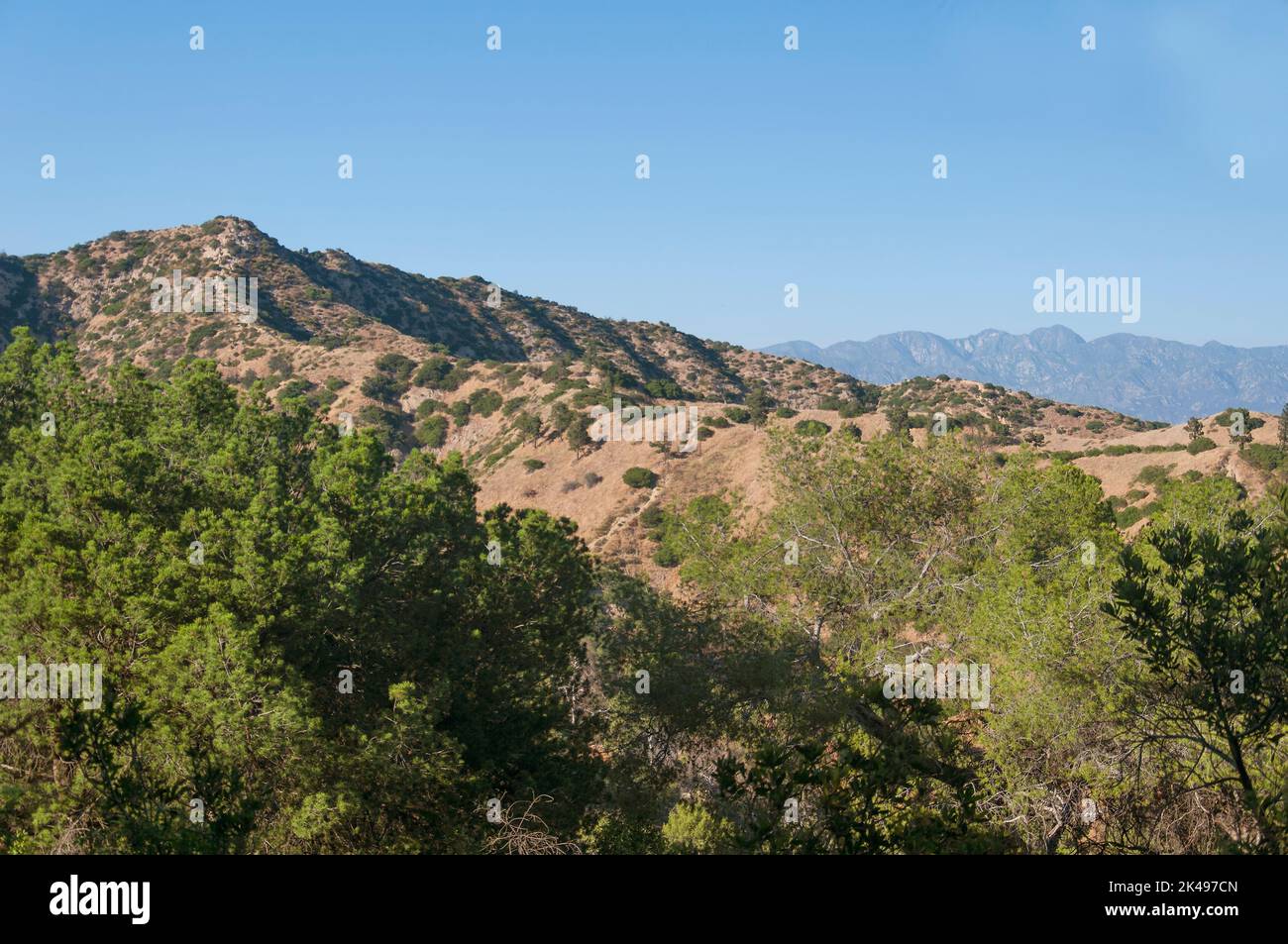 the arid landscape within Griffith park in the city of los angeles ...