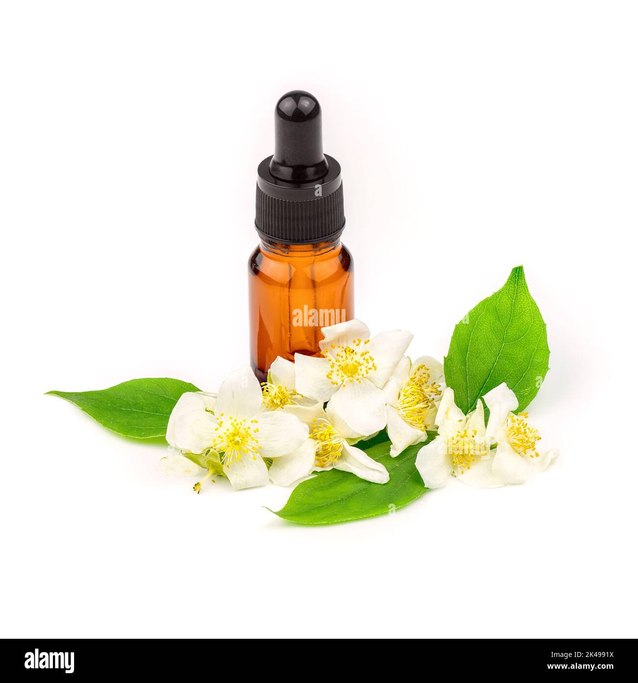 Jasmine essential oil in bottle and fresh jasmine flowers isolated on ...