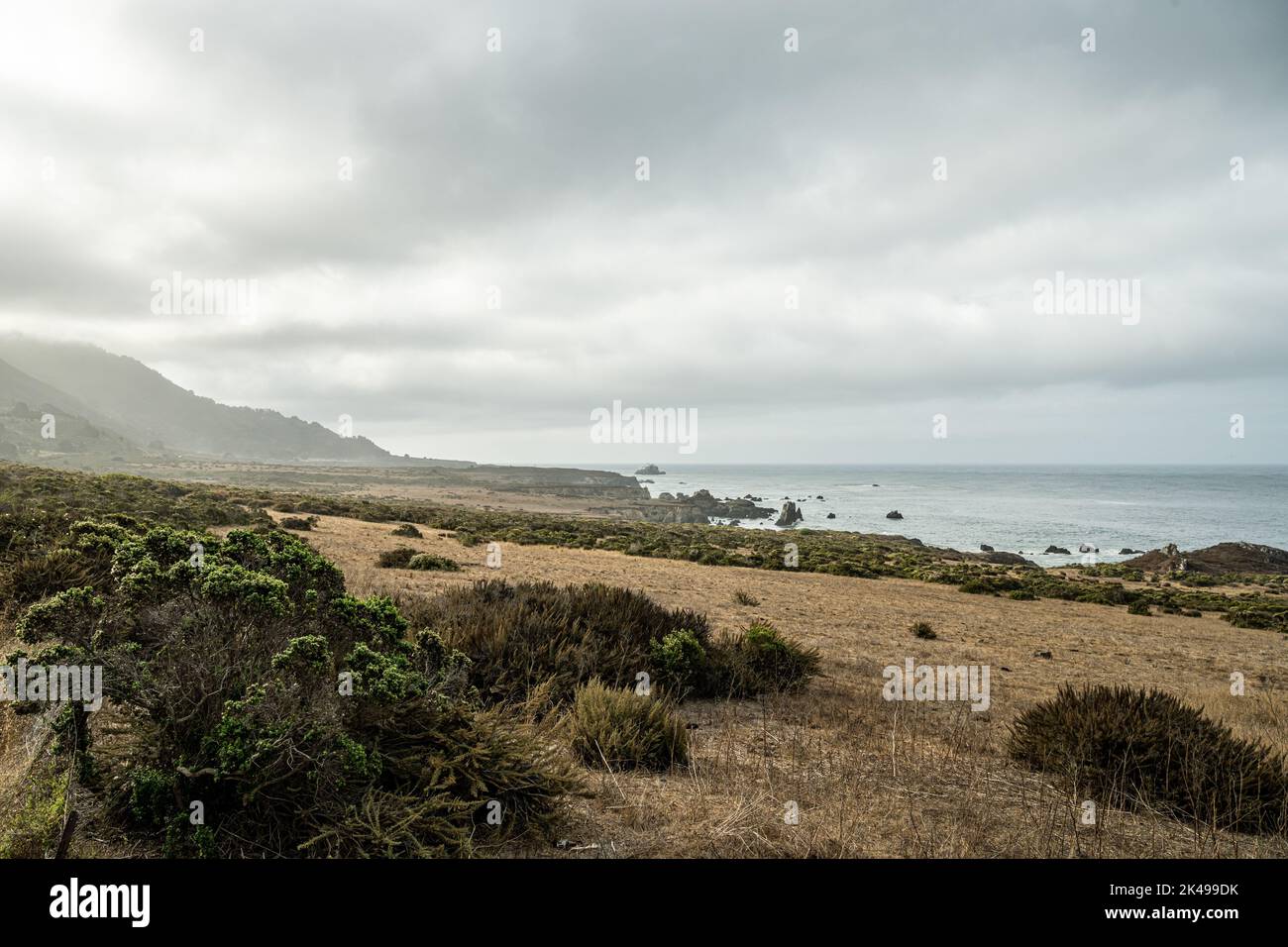 Low Open Pasture Along California Coast in Big Sur Stock Photo - Alamy