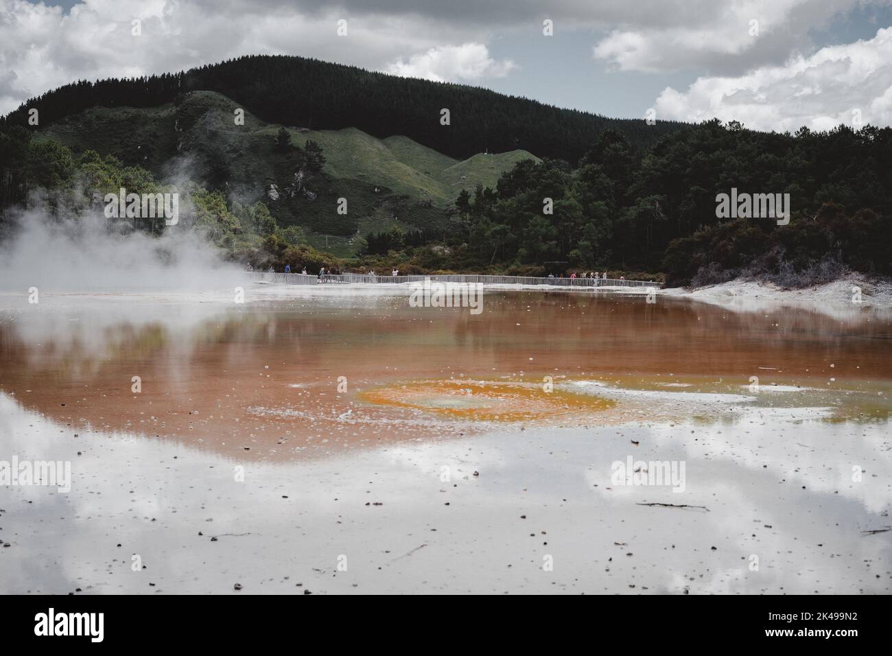 lake with steam and mountains of rotorua Stock Photo - Alamy