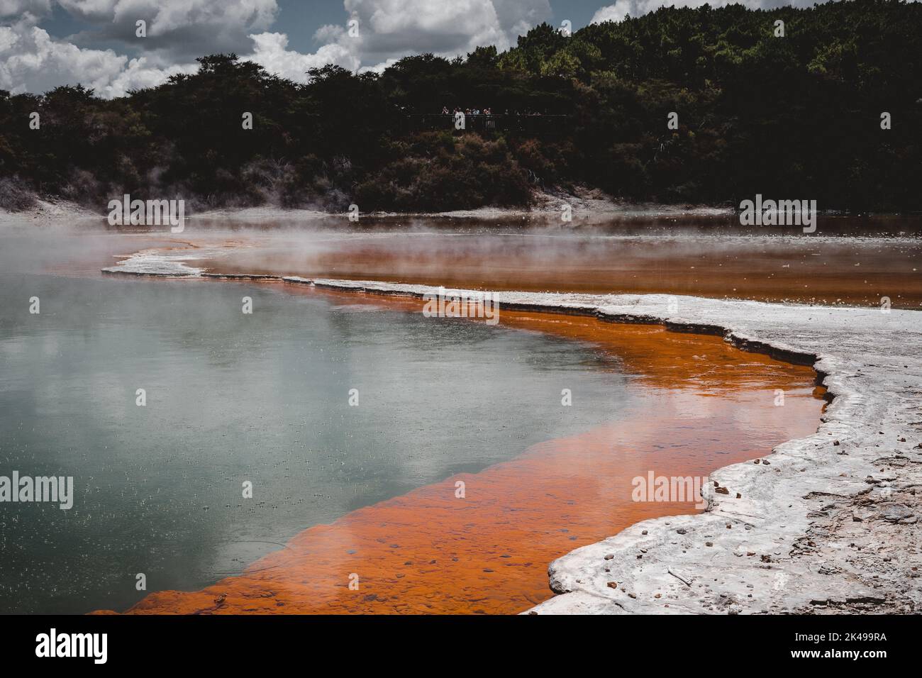 Mud forest hi-res stock photography and images - Alamy