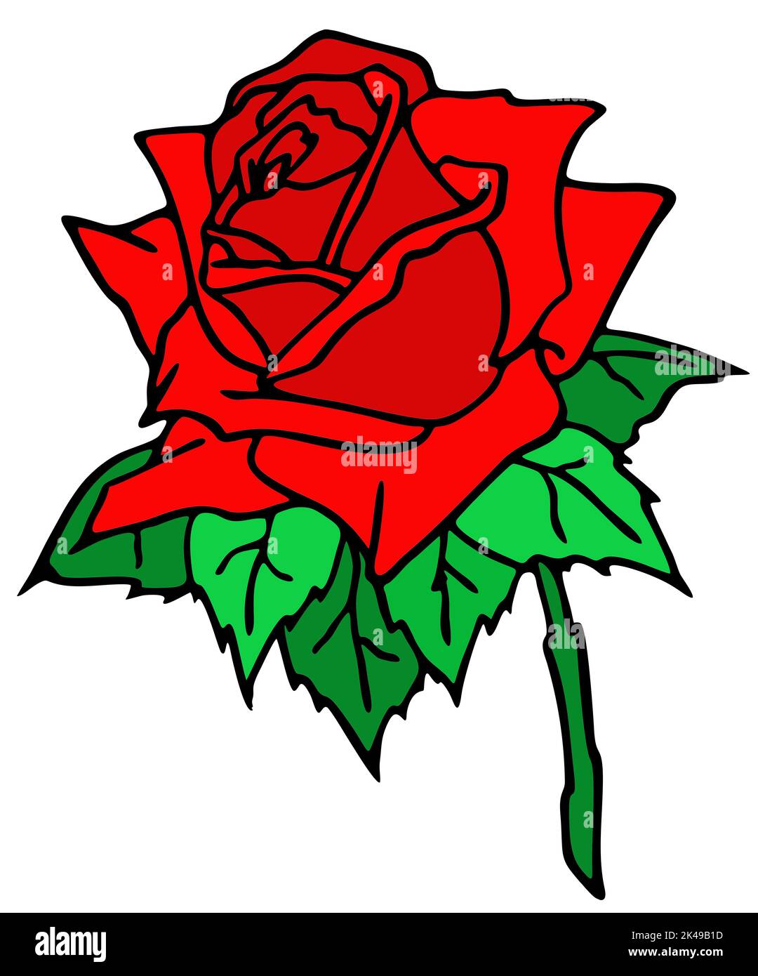 drawing rose branch with red flower and leaves, isolated element ...