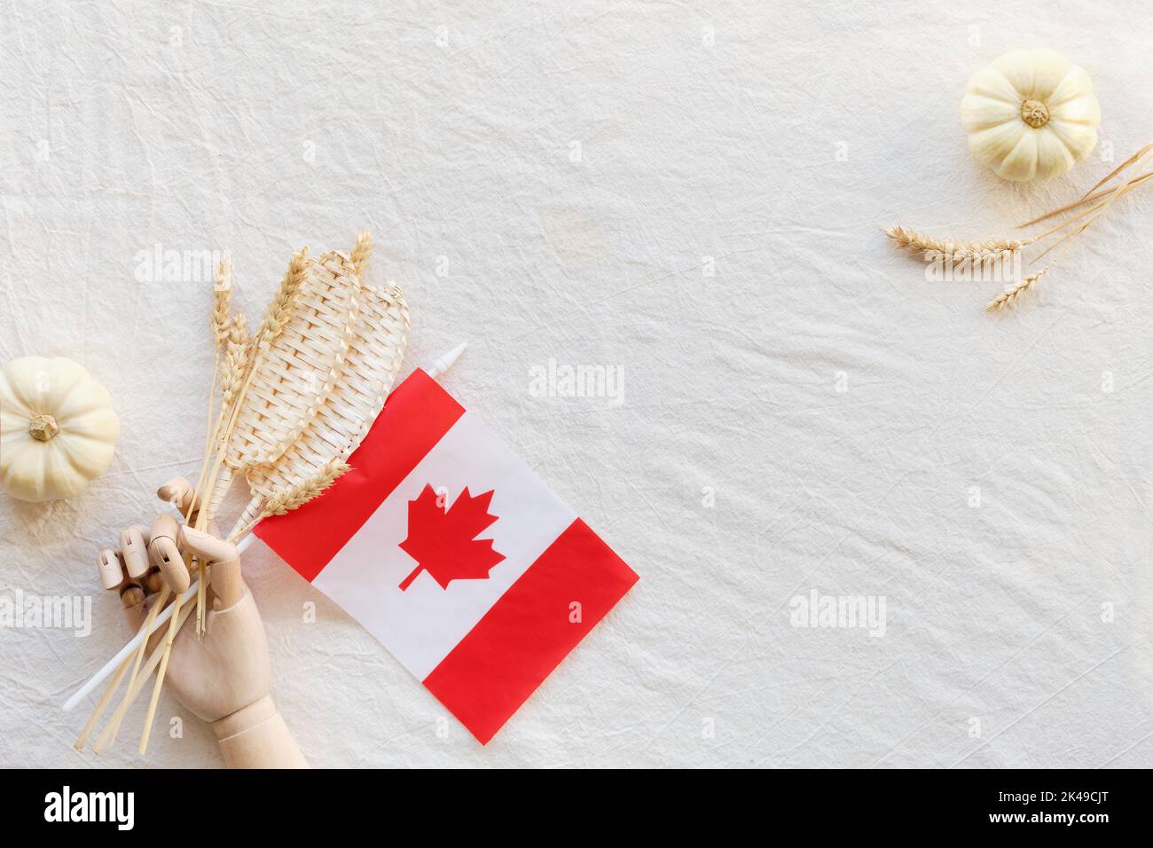 Happy Canada Thanksgiving Day. Canadian flag and wheat ears in hand on ...