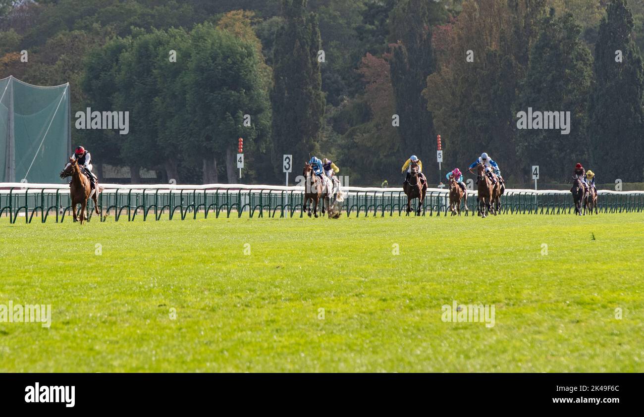 Kyprios horse hi-res stock photography and images - Alamy