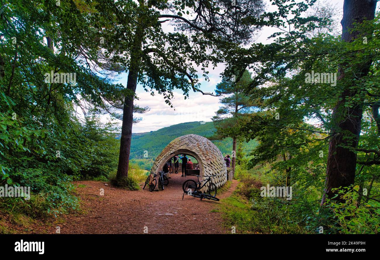 The Pinecone Point, Tay Forest, near Dunkeld, Perthshire Stock Photo ...