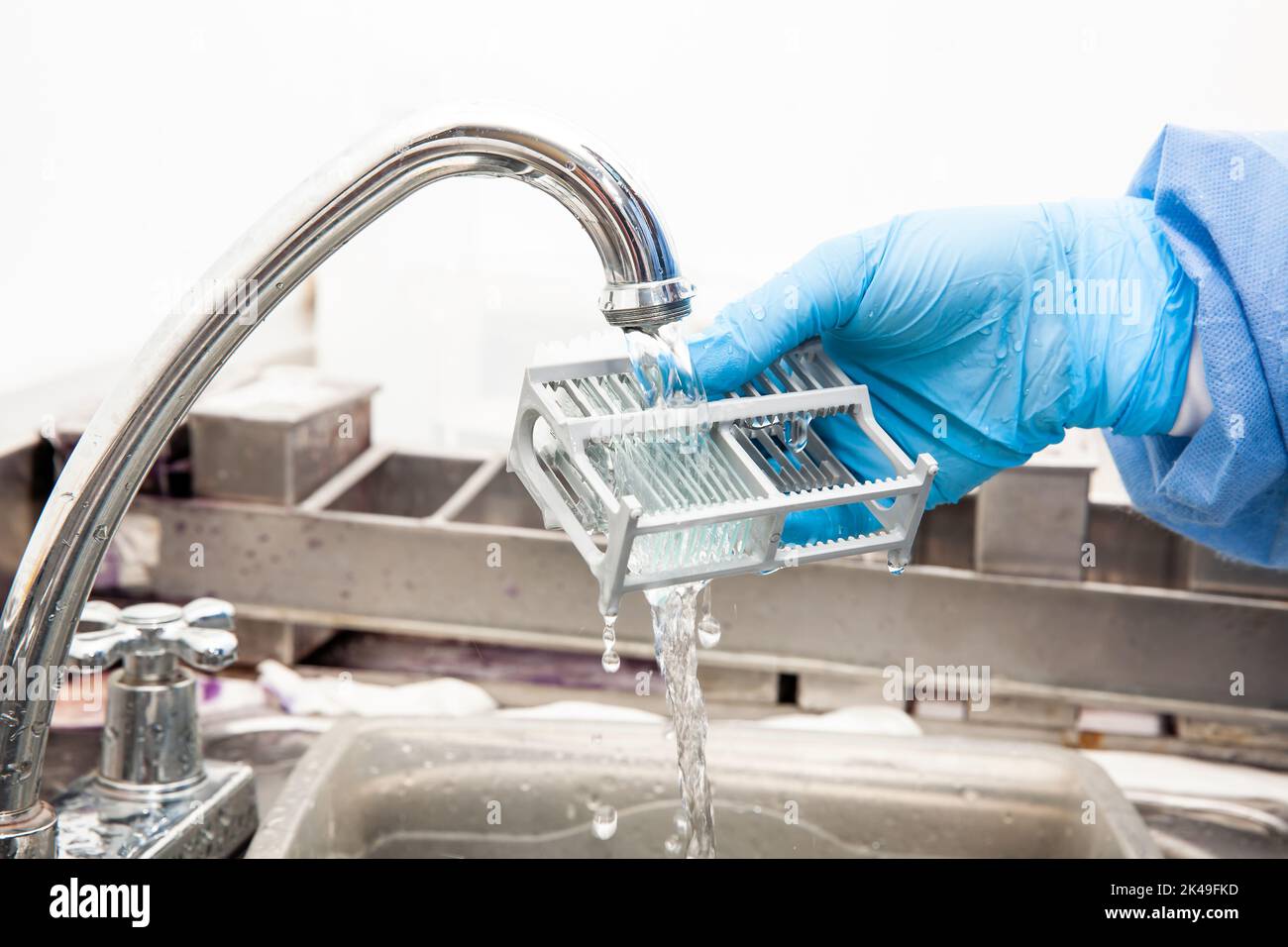 Scientist preparing slides with paraffin embedded tissue samples for ...