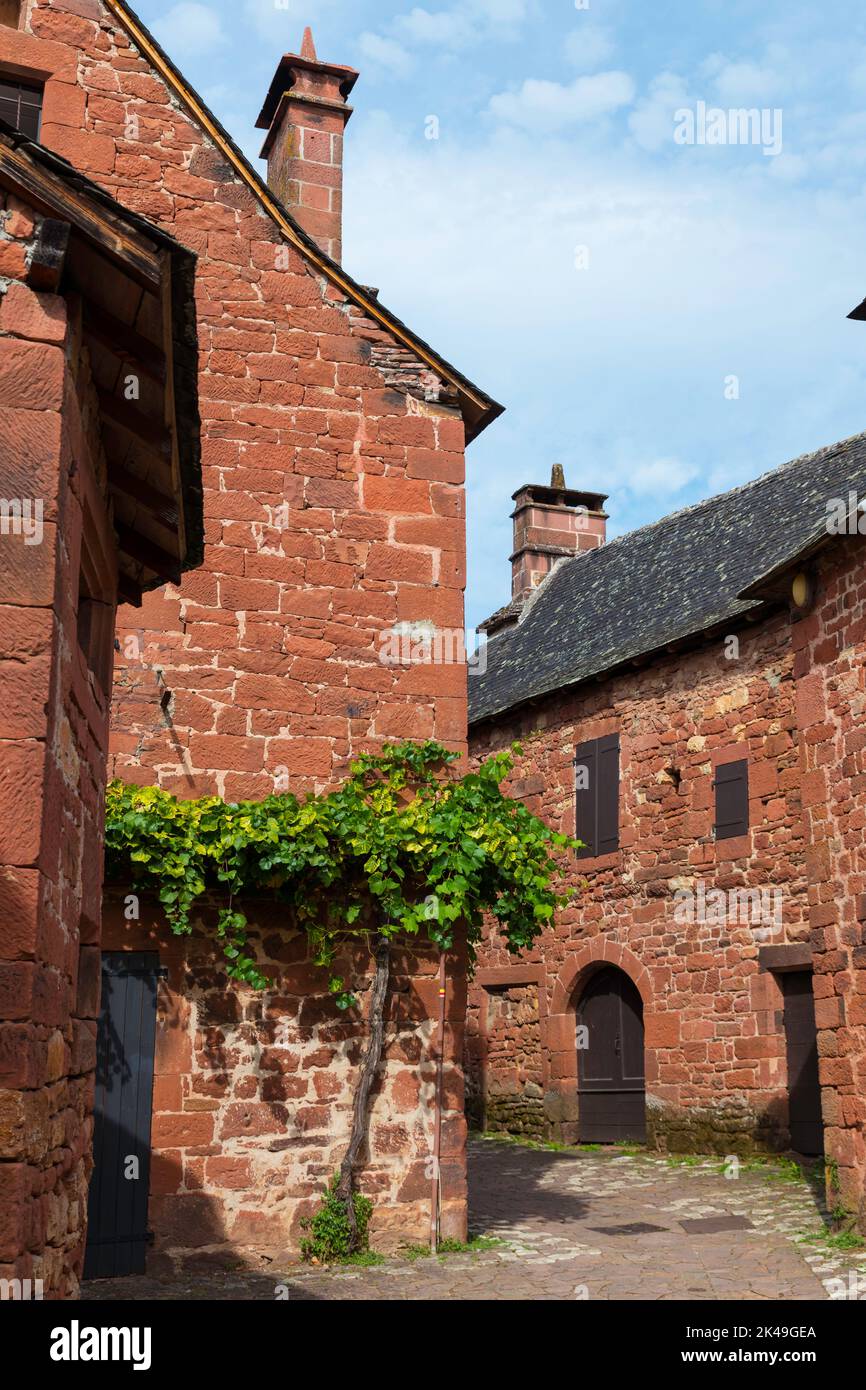 The red village Collonges la rouge in france with green grapes plant ...