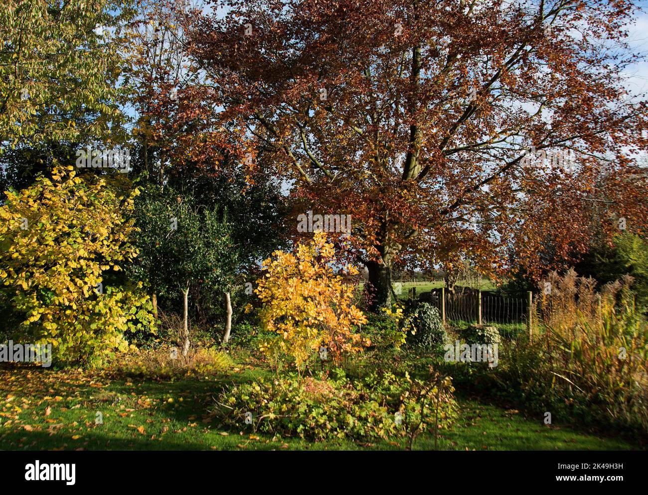 Country garden in November Stock Photo - Alamy