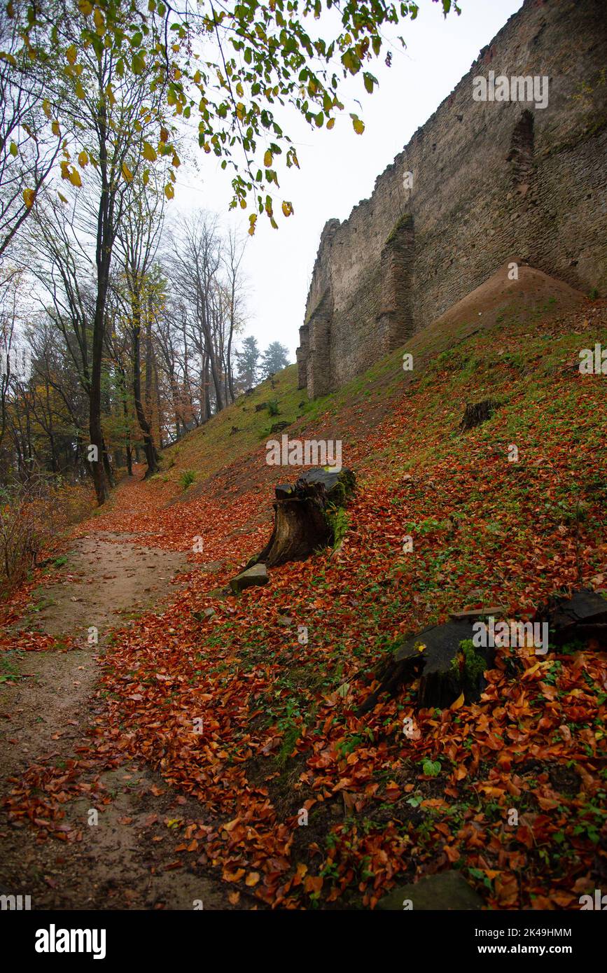 Ruins of medieval castle Zborov, Slovakia Stock Photo - Alamy