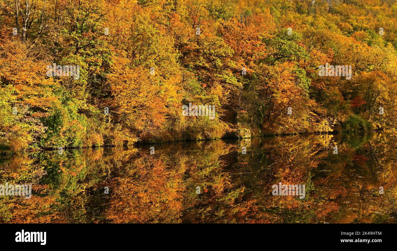 Autumn time. Beautiful landscape with colorful trees. Outdoor natural ...
