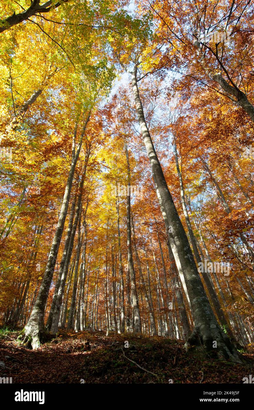 Paesaggio autunnale sui monti Picentini Stock Photo - Alamy