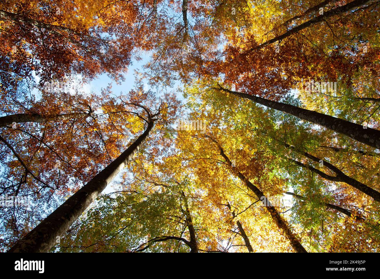 Vista autunnale hi-res stock photography and images - Alamy