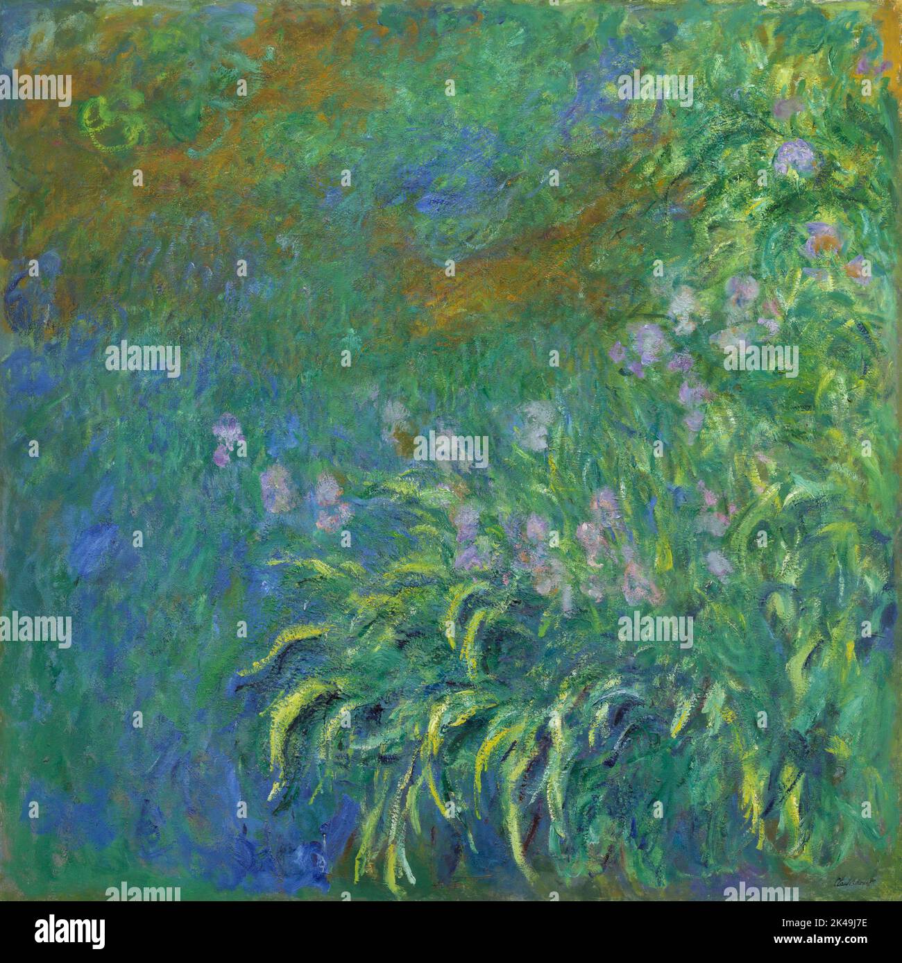 Irises. Claude Monet. 1914/17 Stock Photo - Alamy